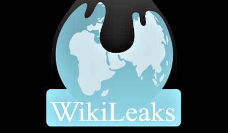 Wikileaks Has Leaked Personal Info on Underage Rape Victims, Mental ...