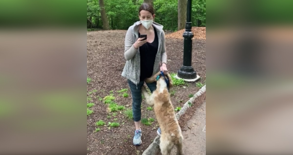 Amy Cooper, Who Falsely Accused Christian, Has Charges Dropped