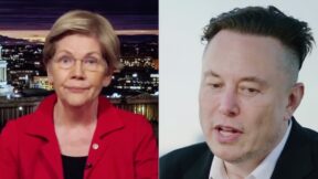 Elizabeth Warren Elon Musk split image