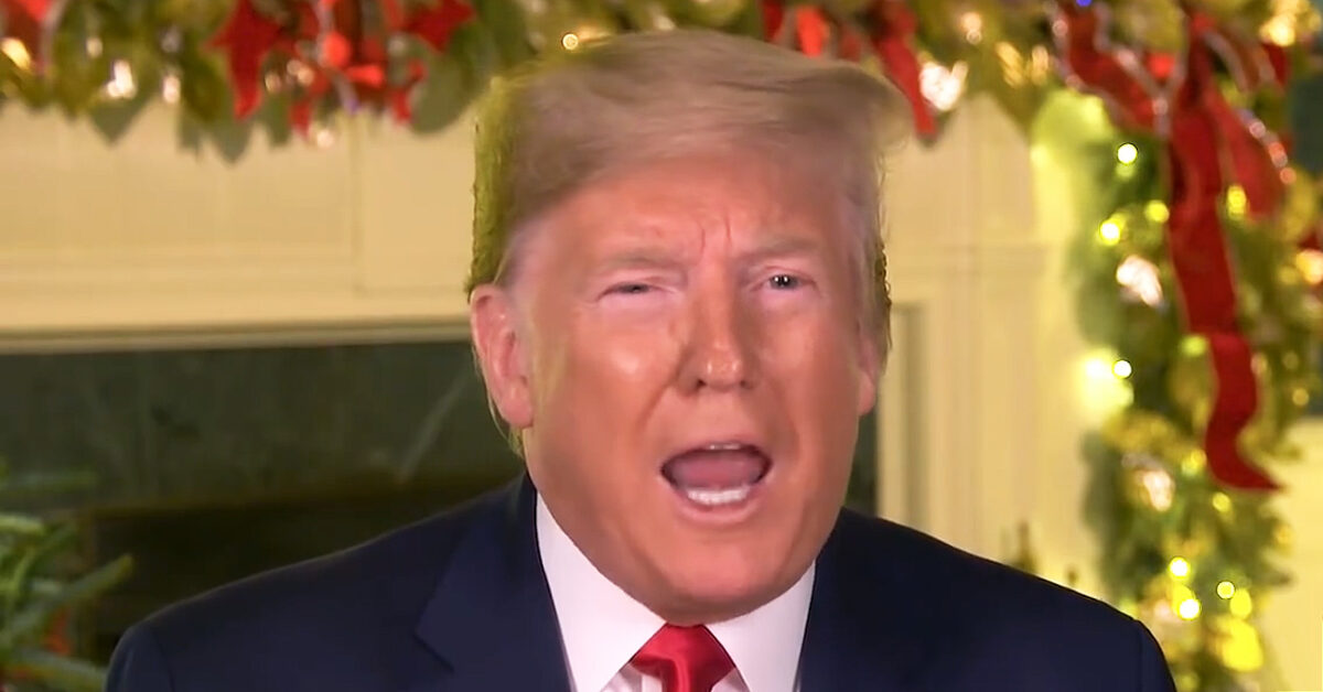 Trump Blasts 'Home Alone 2' Director, Claims He Made Film a Hit